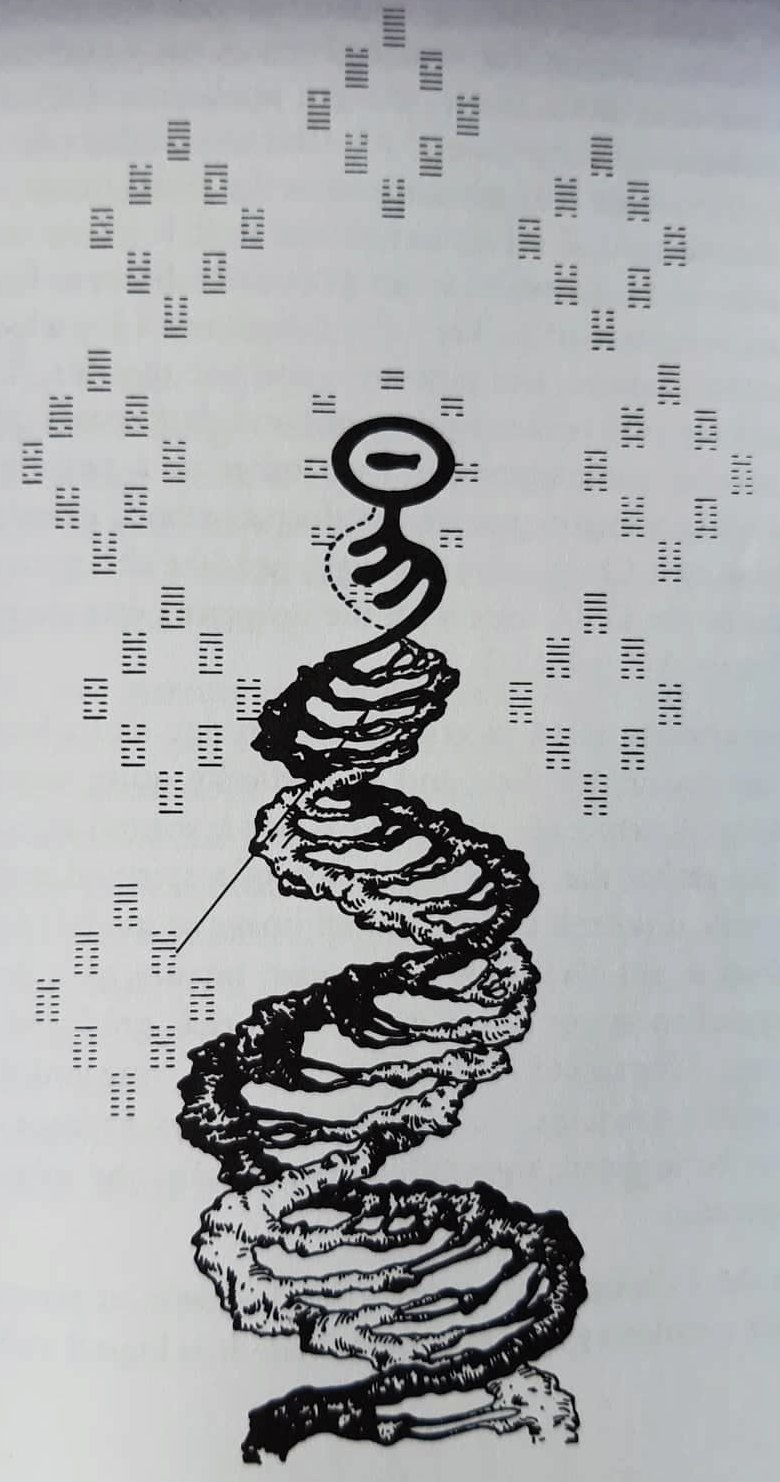 I Ching e DNA – I Ching e Numerologia Orientale